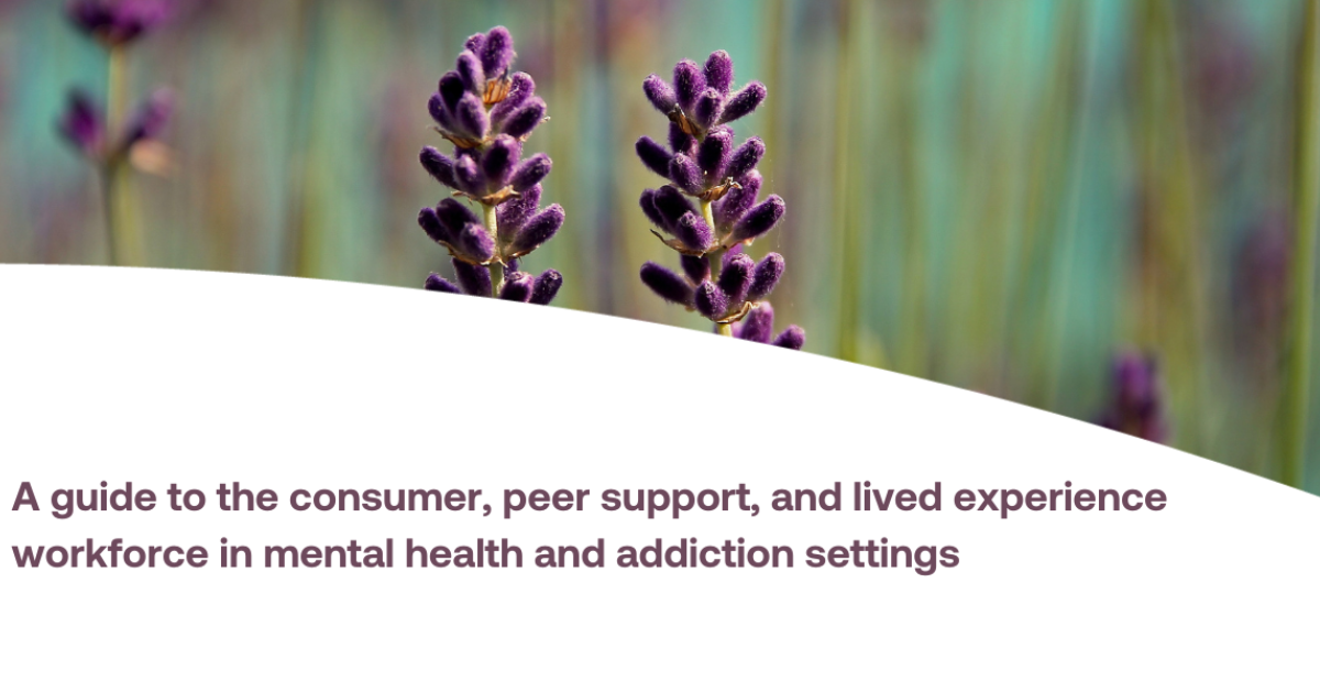 Consumer, peer support, and lived experience guide for… | Te Pou
