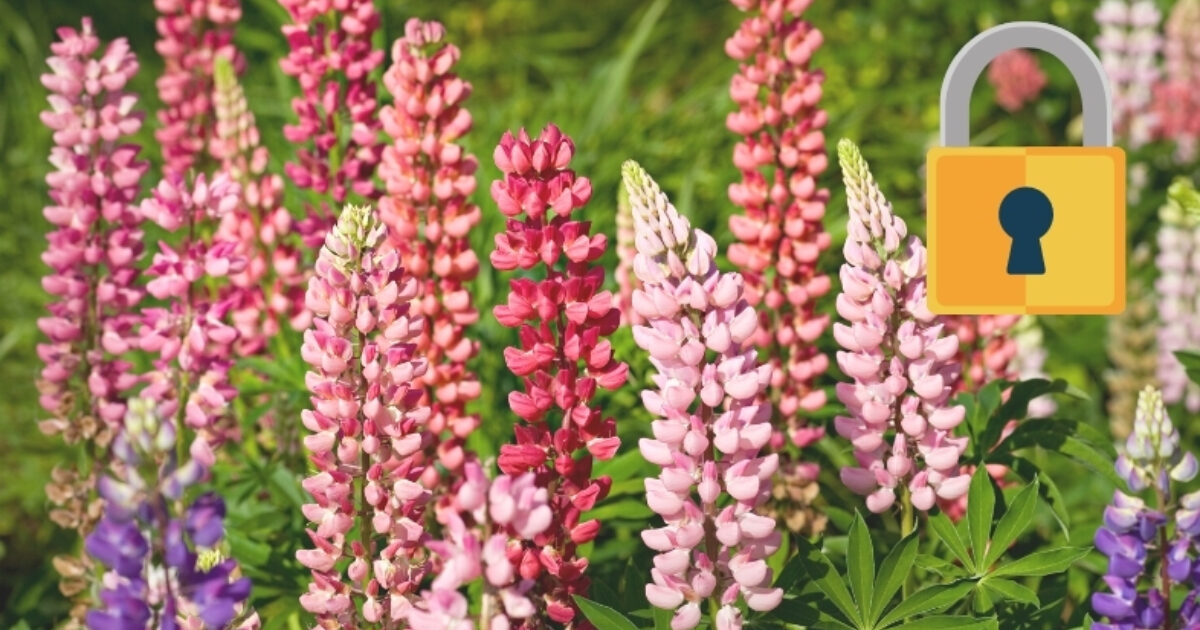 Mental health outcome trainers | Resource centre | Te Pou