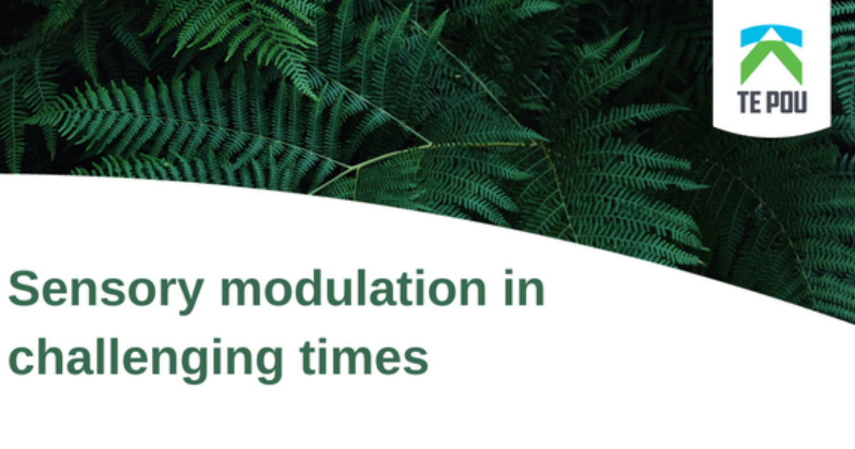 Sensory modulation during challenging times | Te Pou