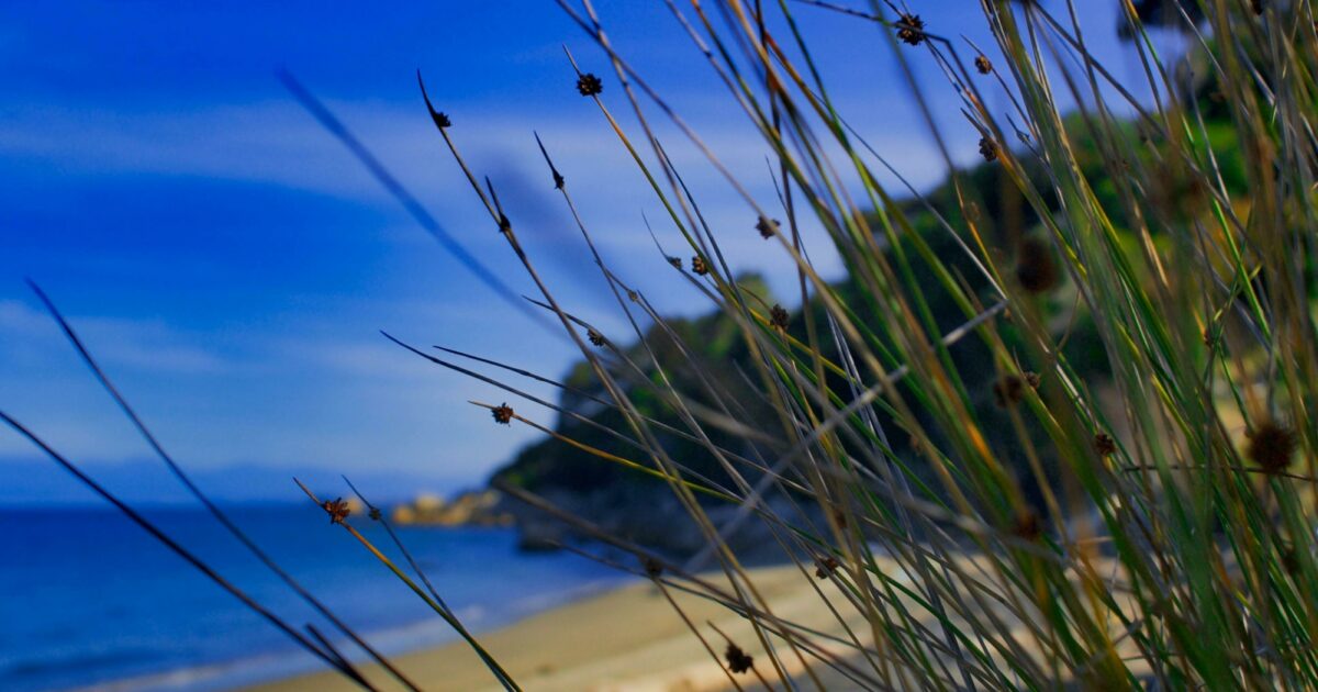 5-Step Method | Addiction services | Te Pou